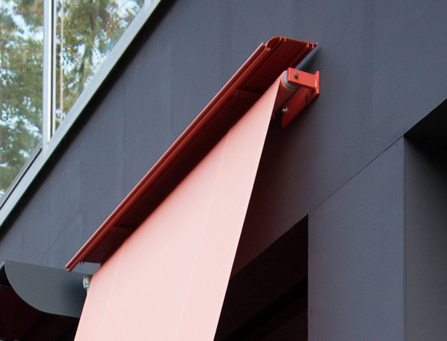 TWO STRIPED SEMI-ORNATE - SUNETTE L. VILJOEN